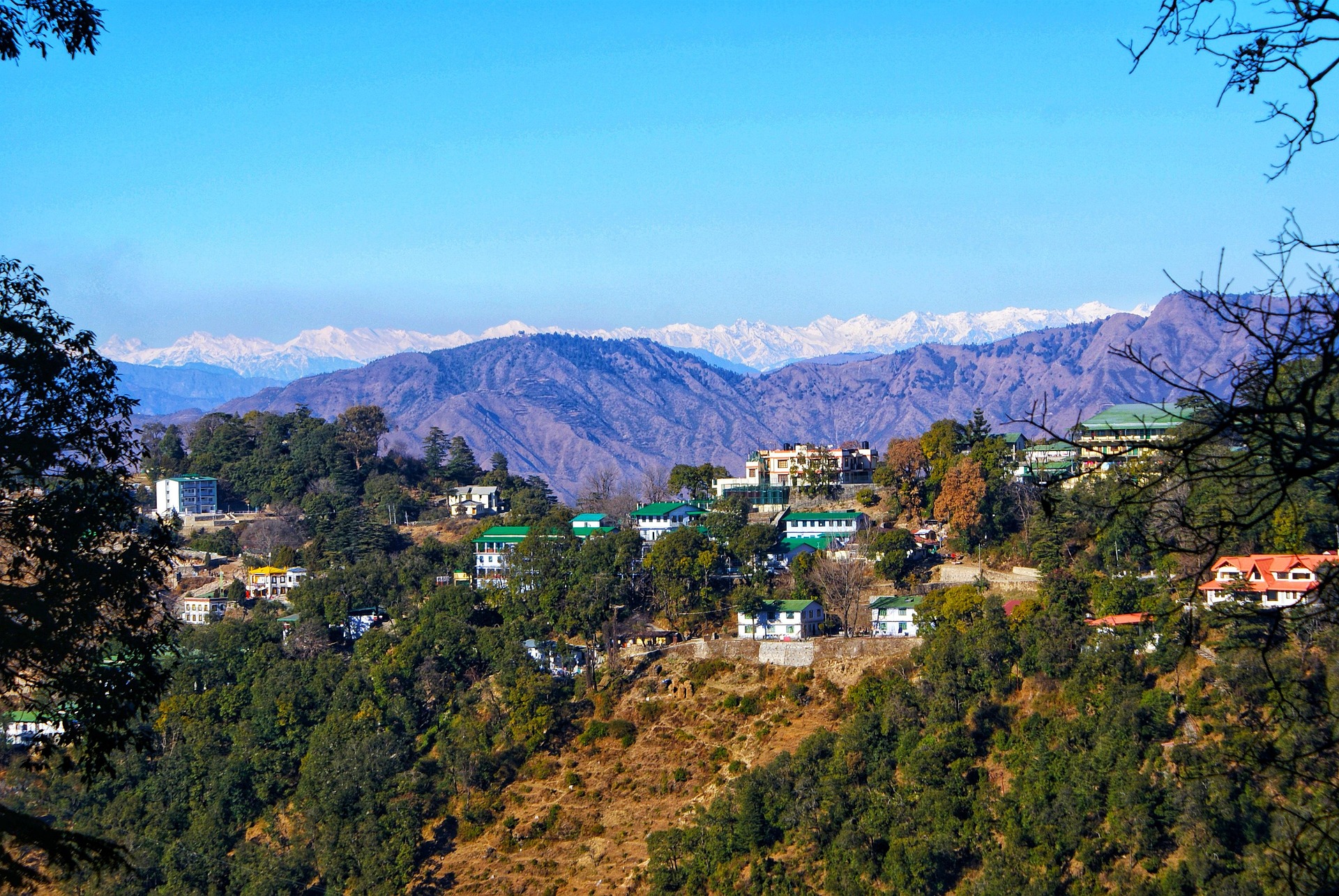 Mussoorie Trek 2025: Best Trails, Camping, & Adventure Spots