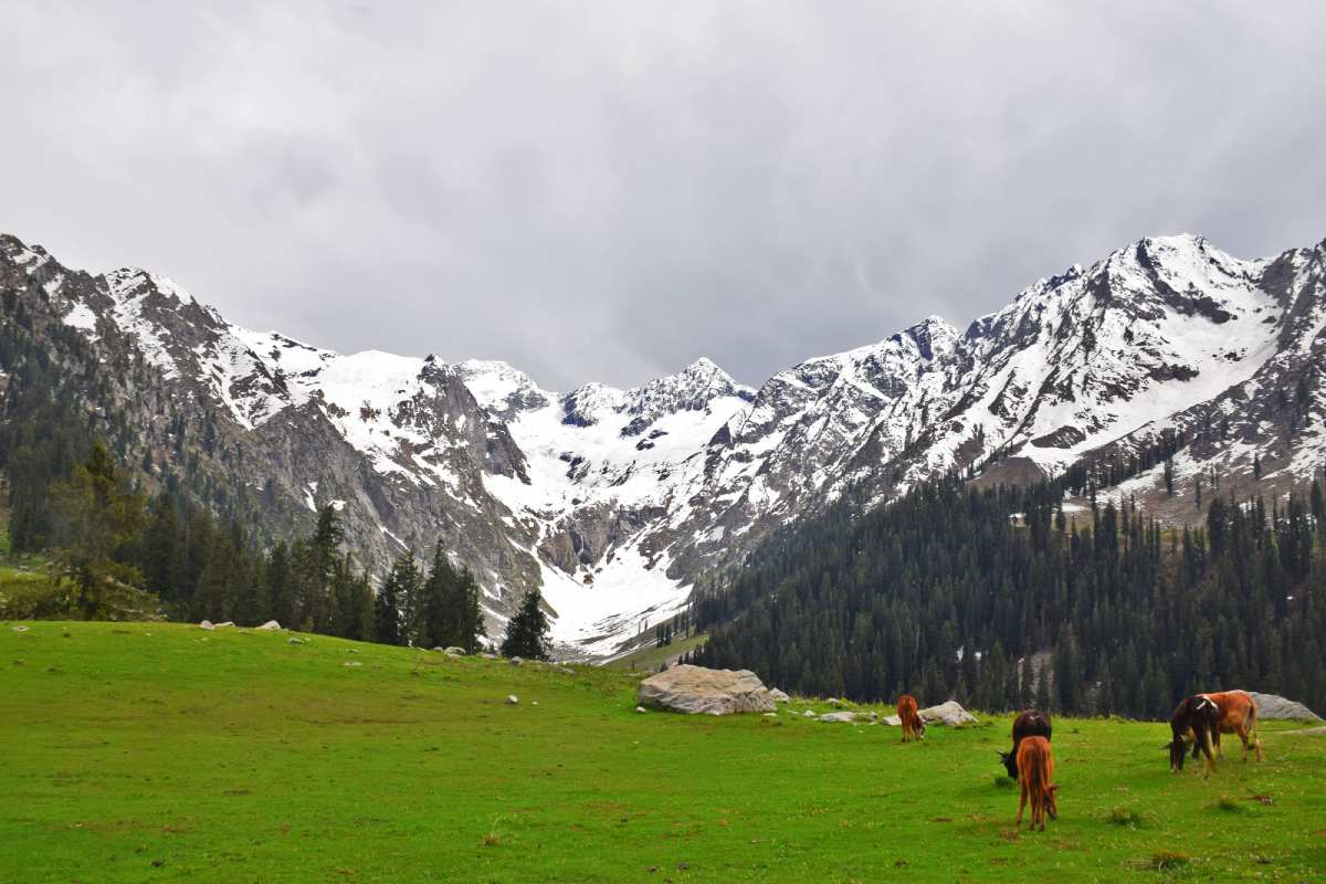 Kalga Travel Guide 2025: Stay & How To Reach From Kasol