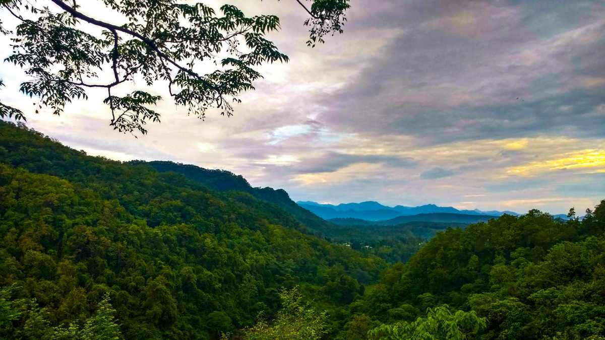 Landour Travel Guide 2025 – Best Stays, Cafes & Things to Do