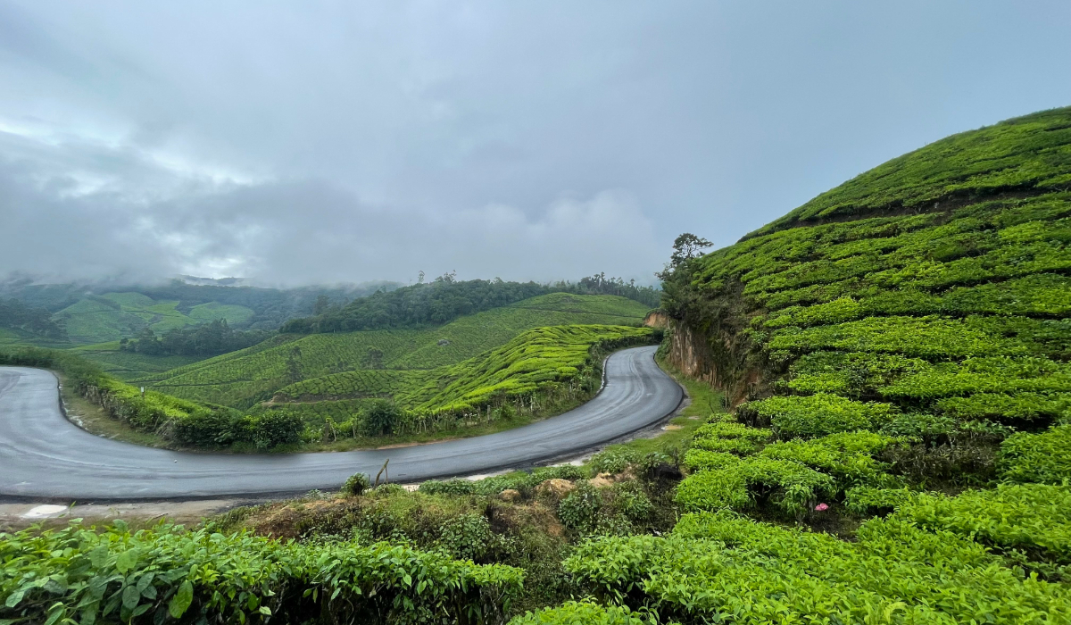 Munnar Plans Tourist Entry Fee To Tackle Waste & Traffic - unstumbled