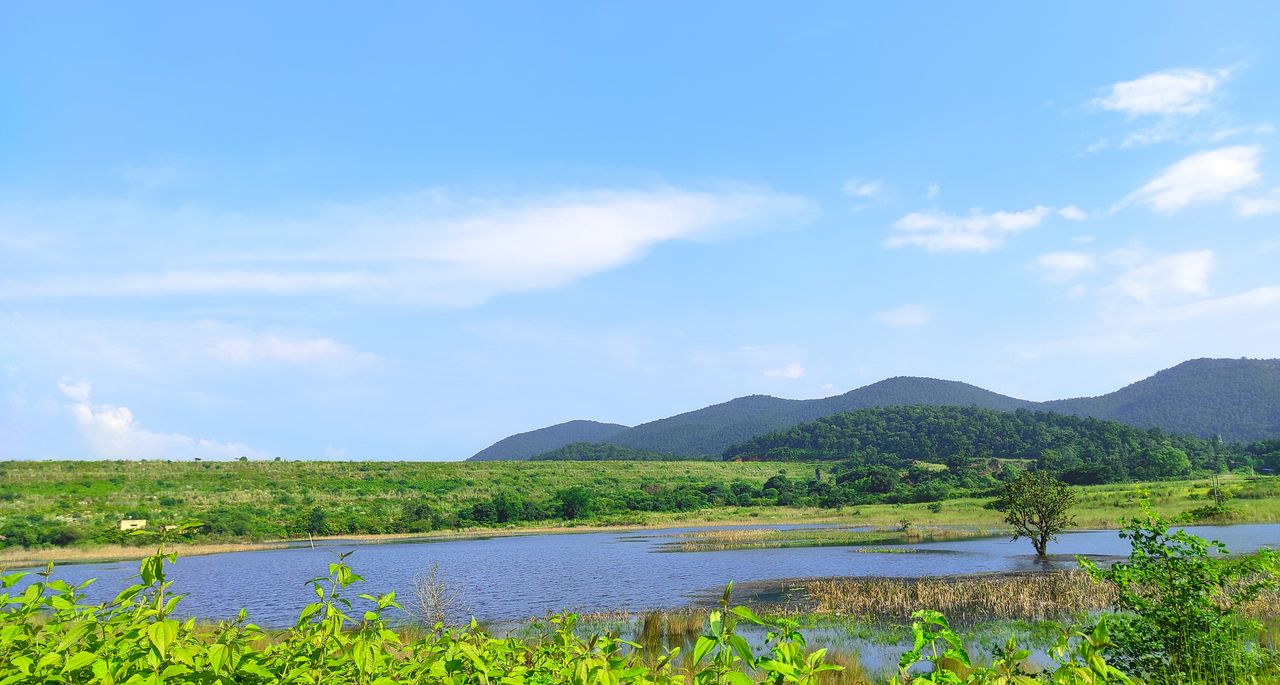 Jharkhand Gets GI Tags For 11 Traditional Products